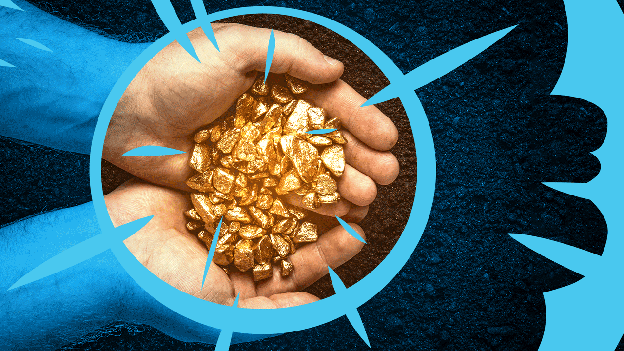 Black Cat Syndicate (ASX:BC8) discovers new gold and nickel-PGE targets ...