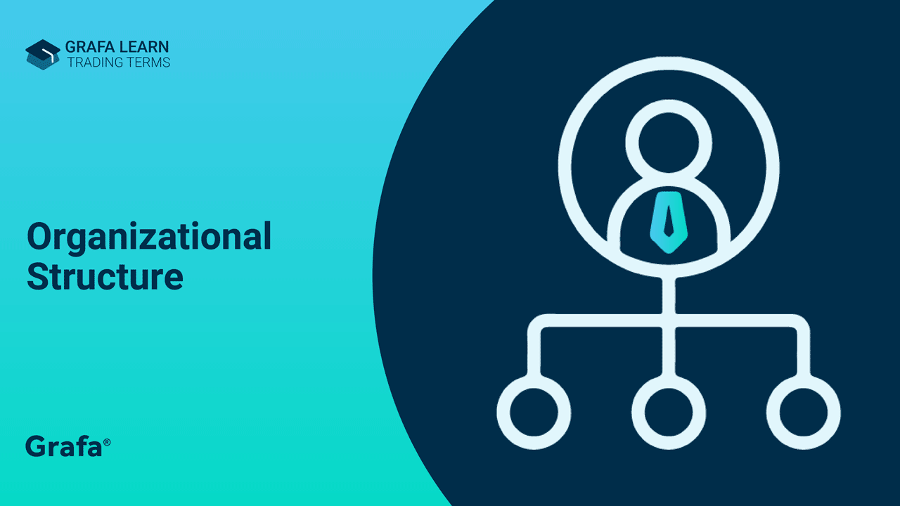 Organisational Structure