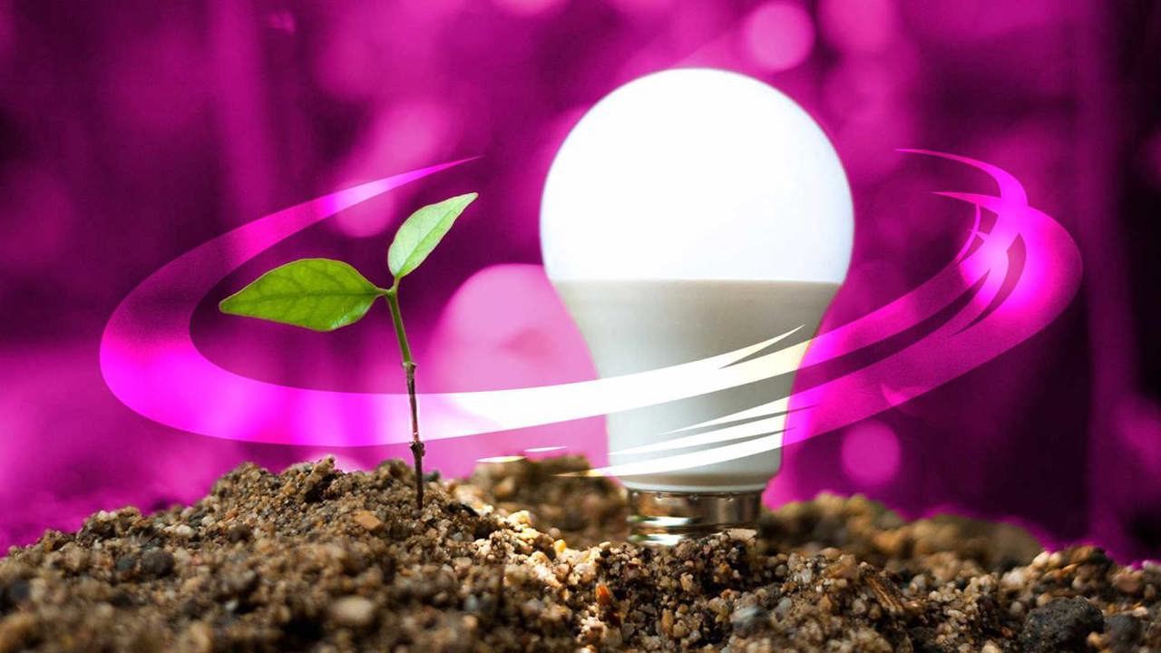 Genesis Energy meldet starkes Ergebnis für das zweite Quartal des ...